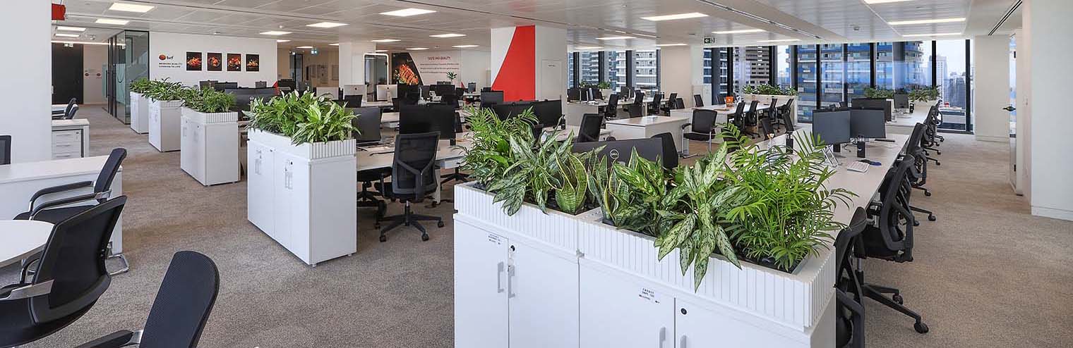 Professional Fit Out Contracting Company in UAE